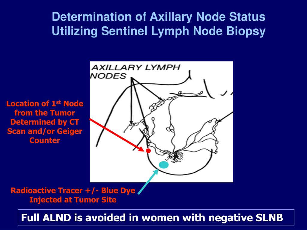PPT - Musculoskeletal Dysfunction in Women During and Following ...