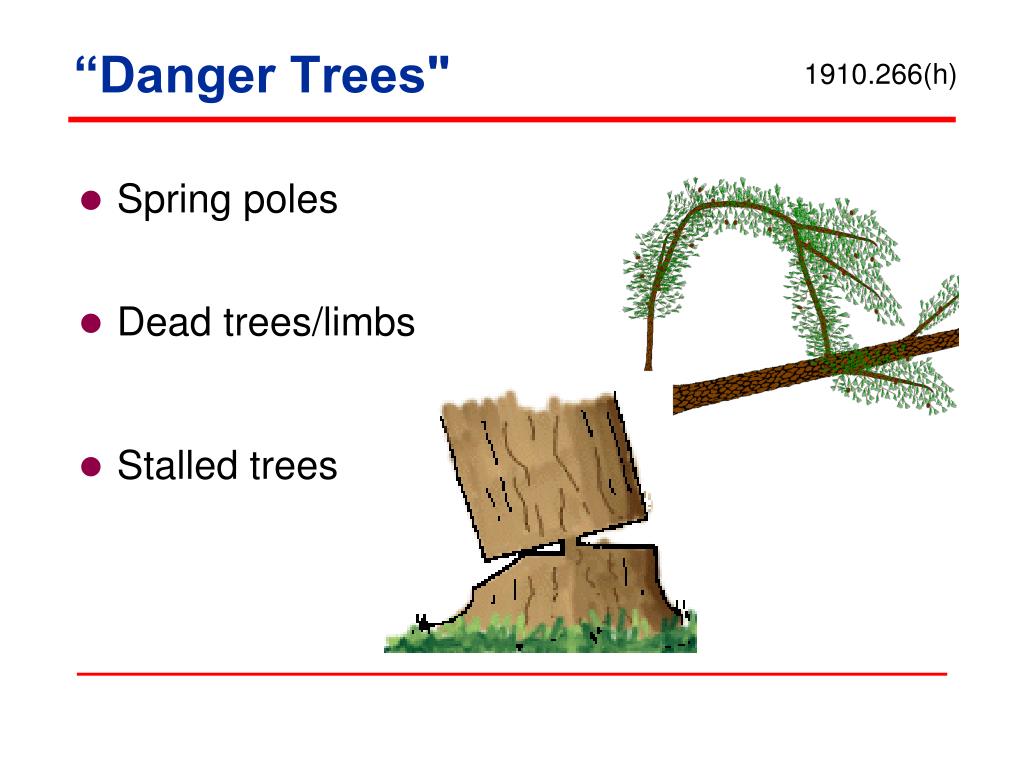 PPT - Chainsaw Safety PowerPoint Presentation, free download - ID:3035660