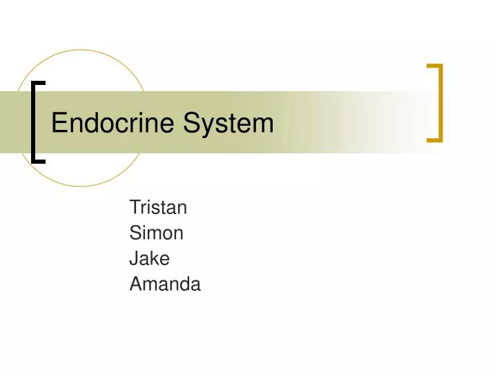 PPT - Endocrine System PowerPoint Presentation, free download - ID:3035769