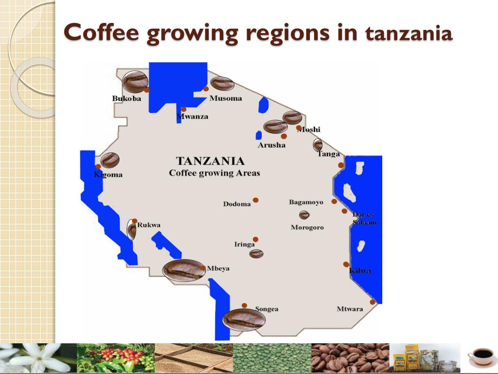 Ppt Tanzania Coffee Industry Development Strategy 2011 2021