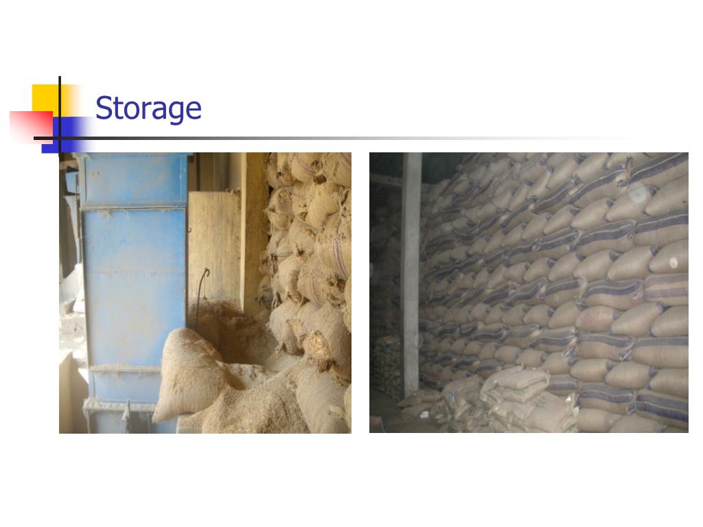 PPT - Rice post harvest management-Bangladesh context PowerPoint ...