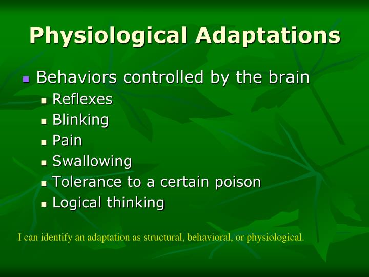 PPT - Adaptations PowerPoint Presentation - ID:3036734