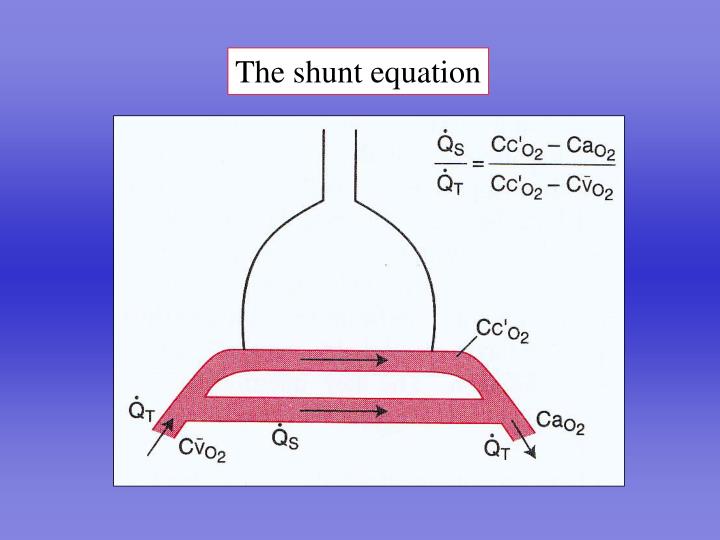 PPT - Pulmonary Gas Exchange I PowerPoint Presentation - ID:3036815