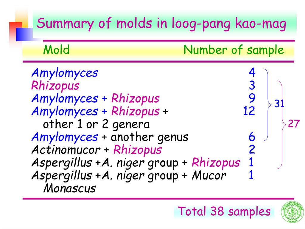 Ppt Microbial Technology In Satho Production Powerpoint Presentation