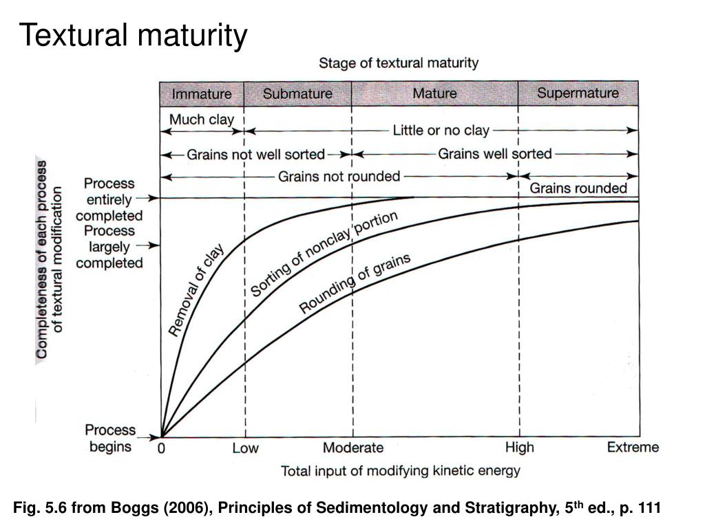 PPT - Geology 103 Sedimentology and Stratigraphy Tim Horner Geology ...