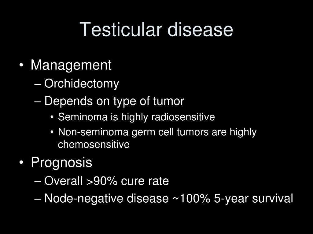 Ppt Testicular Disease Powerpoint Presentation Free Download Id