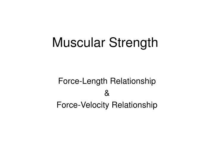 PPT - Muscular Strength PowerPoint Presentation, free download - ID:3038470