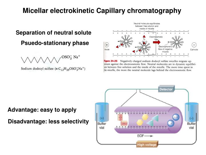 PPT - A. Modes of separation capillary electrophoresis PowerPoint ...