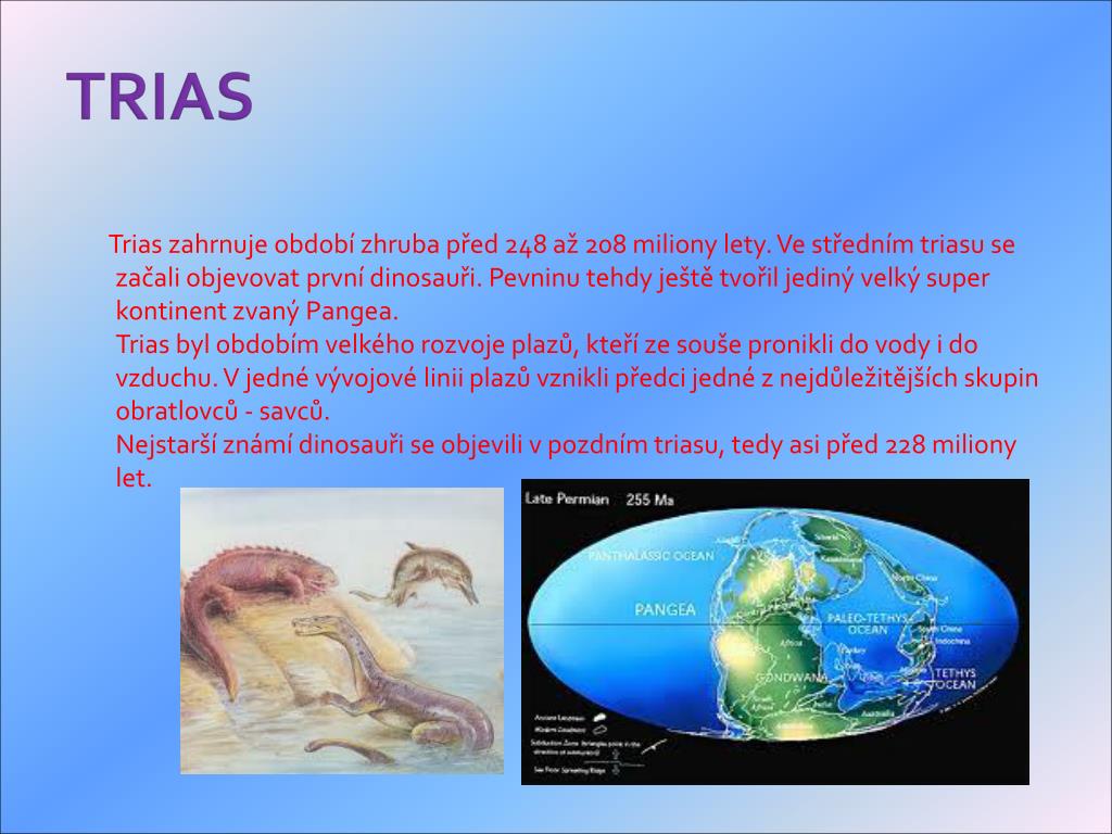 PPT - Dinosauři PowerPoint Presentation, free download - ID:3038872