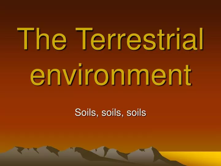 PPT - The Terrestrial environment PowerPoint Presentation, free ...