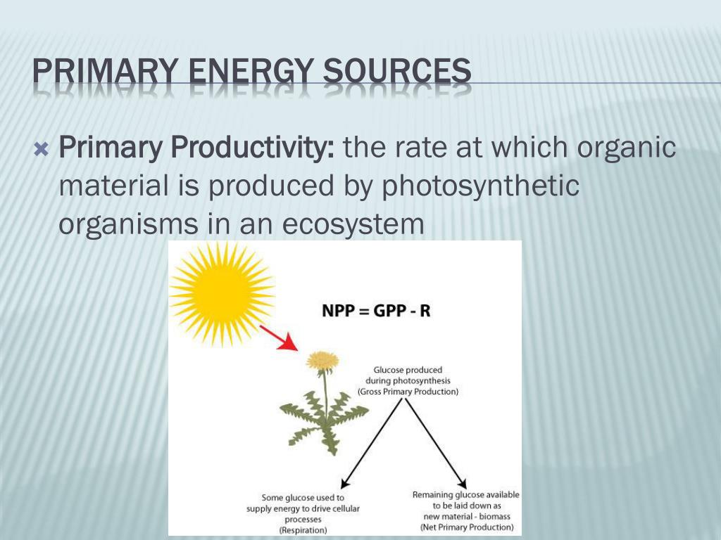 PPT - Chapter 16 PowerPoint Presentation, free download - ID:3039123