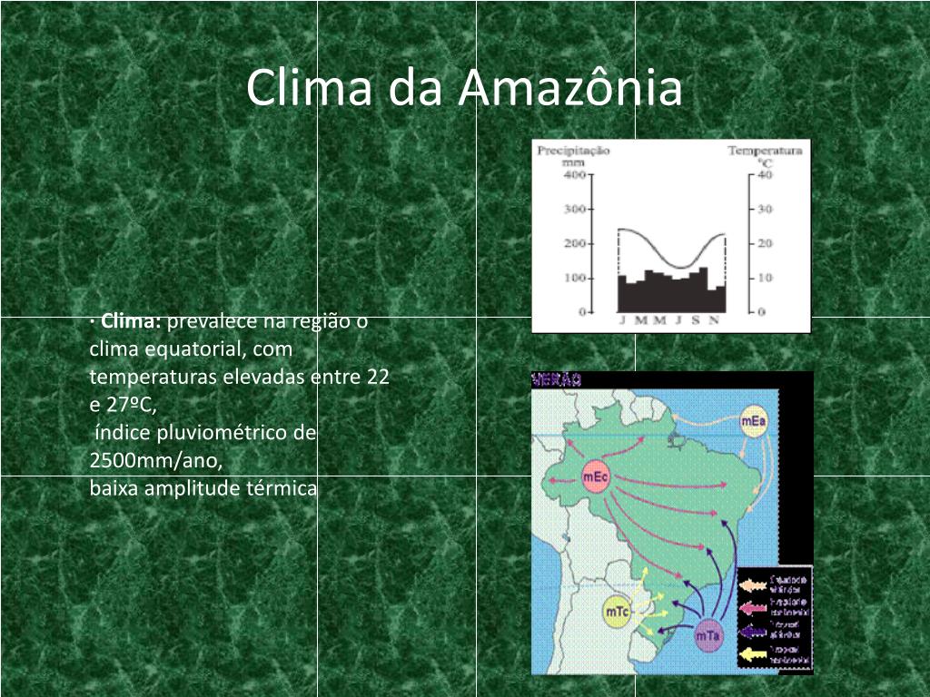 PPT - Bioma - Amazônia PowerPoint Presentation, free download - ID:3039433