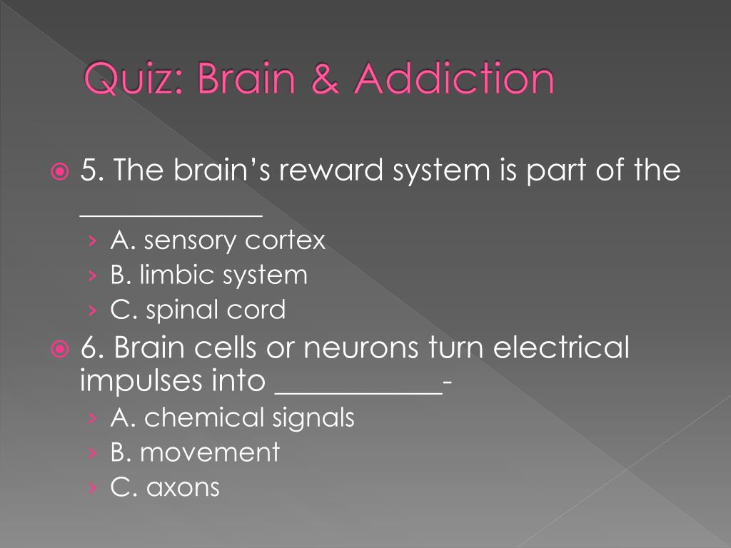 PPT - The Teenage Brain and Substance Abuse PowerPoint Presentation ...