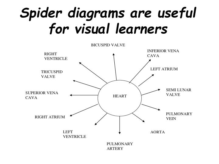 PPT - Brain Teasers PowerPoint Presentation - ID:3040219