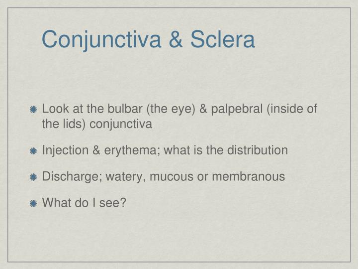 PPT - Trichiasis PowerPoint Presentation - ID:3040688