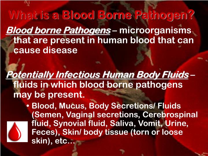 PPT - Blood Borne Pathogens PowerPoint Presentation - ID:3040793