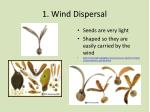 PPT - Seed Dispersal PowerPoint Presentation - ID:3041002