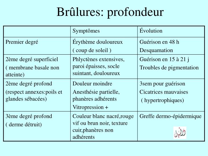PPT - LES BRÛLURES graves PowerPoint Presentation - ID:3041411