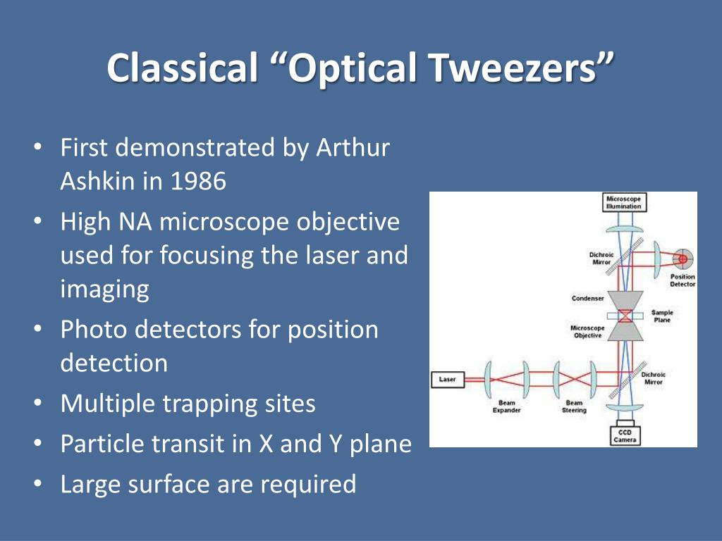 PPT - Single Tapered Fibre “Optical Tweezers ” PowerPoint Presentation ...