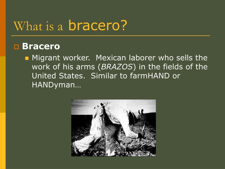 PPT - The Bracero Program PowerPoint Presentation - ID:3042245