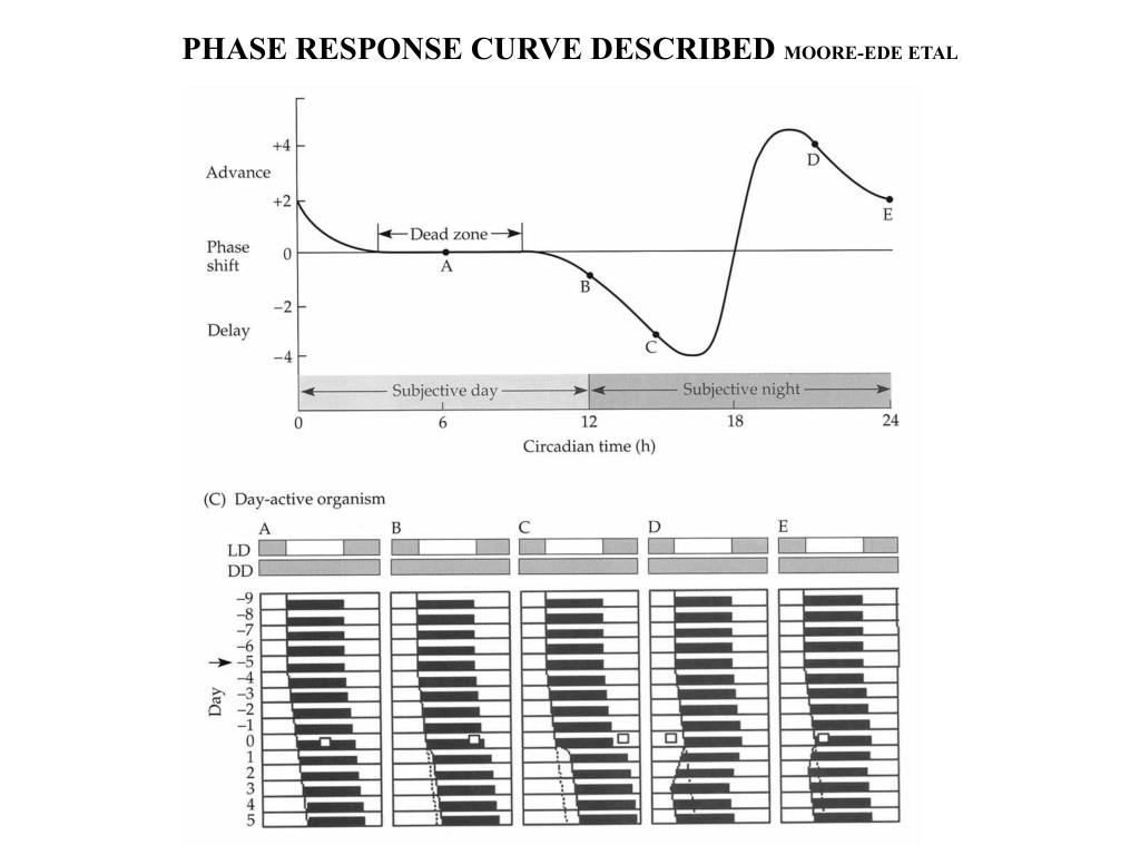 PPT - MCB 186 CIRCADIAN BIOLOGY Slides Lecture 2 September 28, 2005 J ...