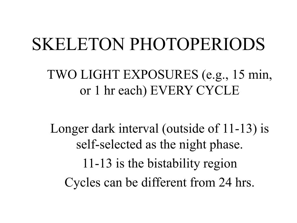 PPT - MCB 186 CIRCADIAN BIOLOGY Slides Lecture 2 September 28, 2005 J ...