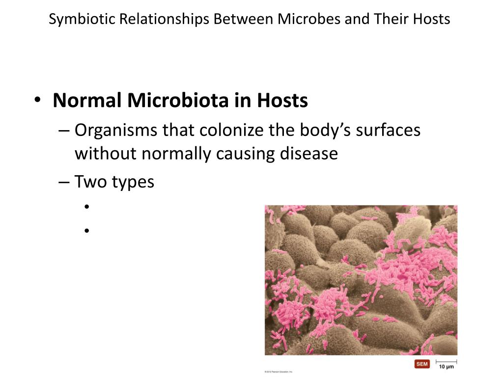 PPT - Disease, Disease Transmission, and Epidemiology PowerPoint ...