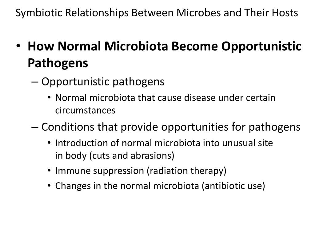 PPT - Disease, Disease Transmission, and Epidemiology PowerPoint ...