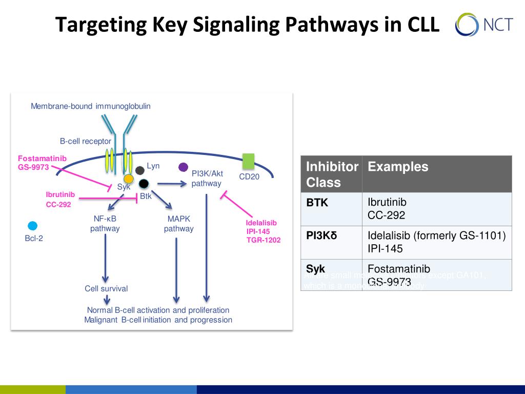 PPT - Translating Lymphoma Genetics into Clinical Care PowerPoint ...