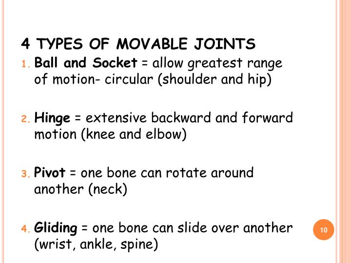 PPT - The Skeletal System PowerPoint Presentation - ID:3044403