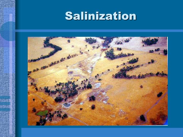 PPT - Topic 3.8.3 Describe three stages of soil formation PowerPoint ...
