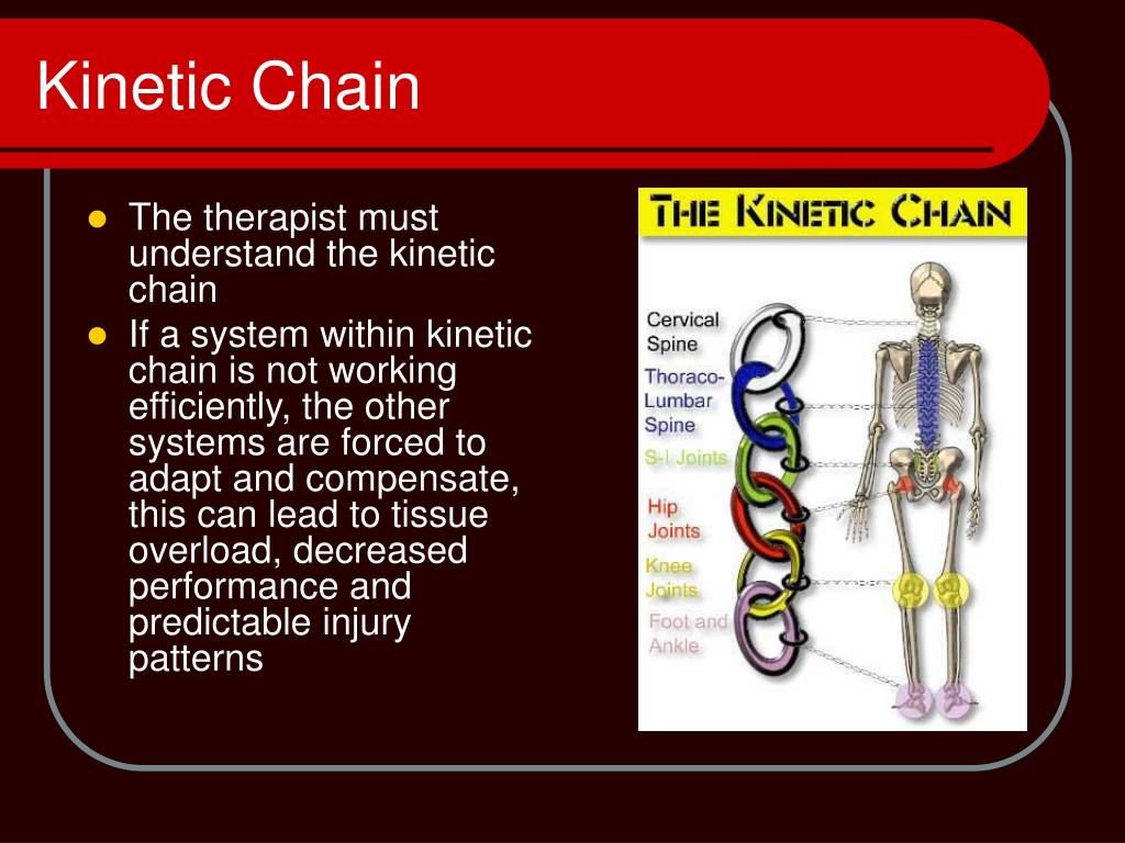 PPT - Rehabilitation Techniques in Athletic Therapy PowerPoint ...