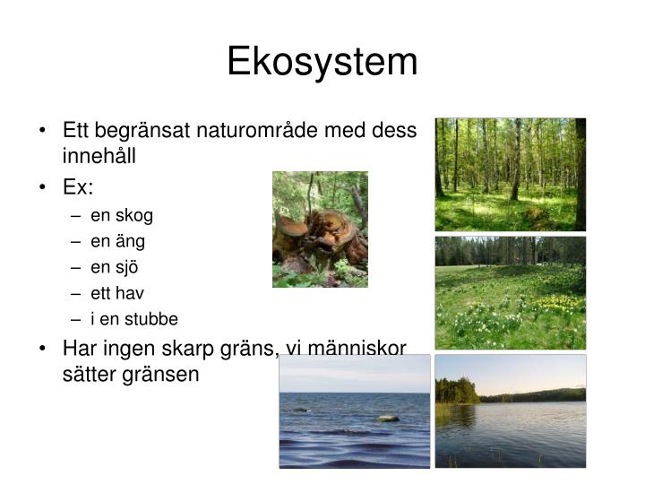 PPT - Ekologi PowerPoint Presentation - ID:3045565