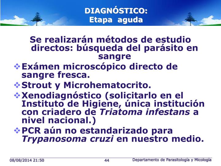 PPT - ENFERMEDAD DE CHAGAS PowerPoint Presentation - ID:3045694