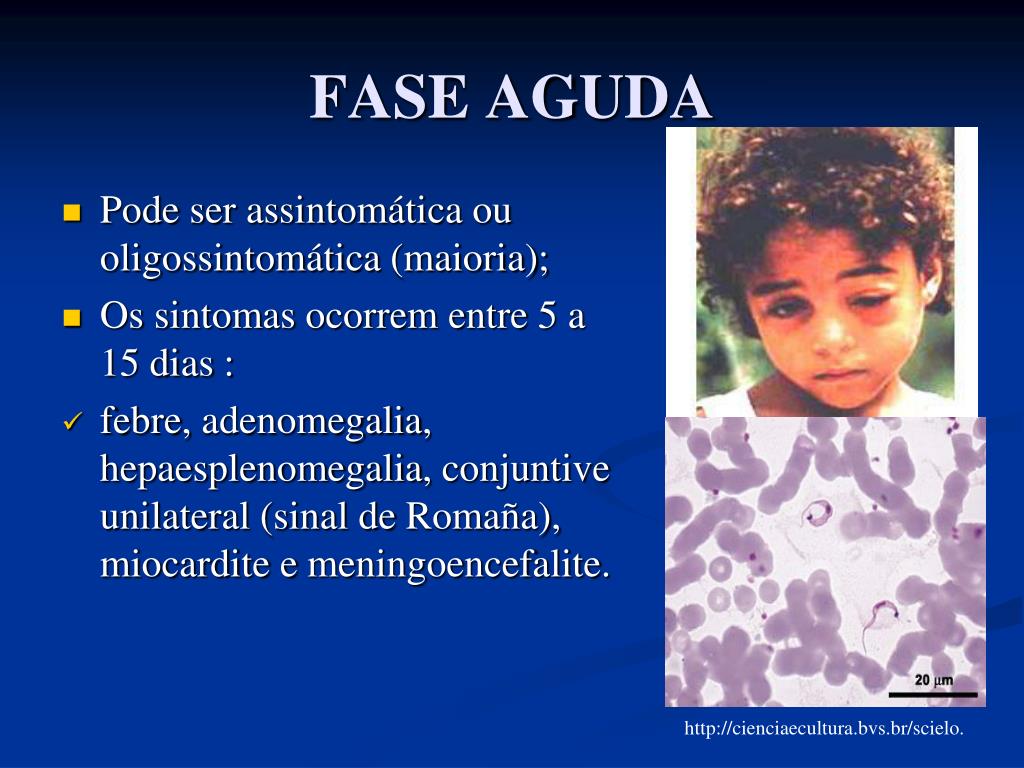 PPT - UNIVERSIDADE FEDERAL DE GOIÁS INSTITUTO DE PATOLOGIA E SAÚDE ...