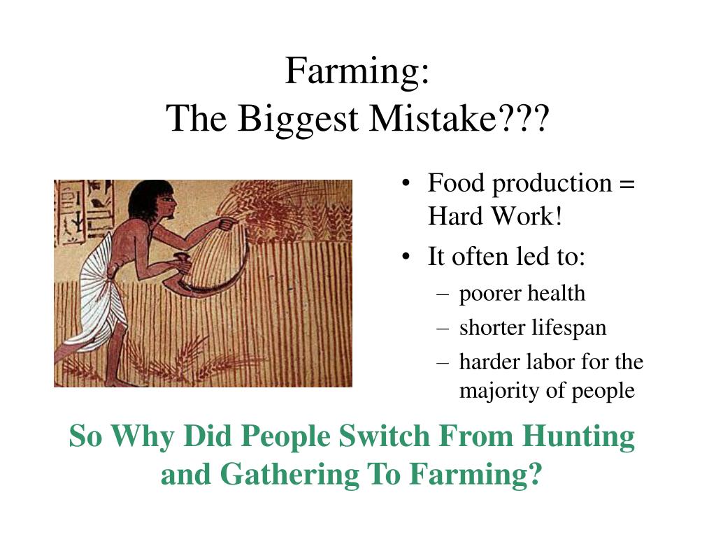 PPT - The Neolithic Revolution and Early Agricultural Societies ...