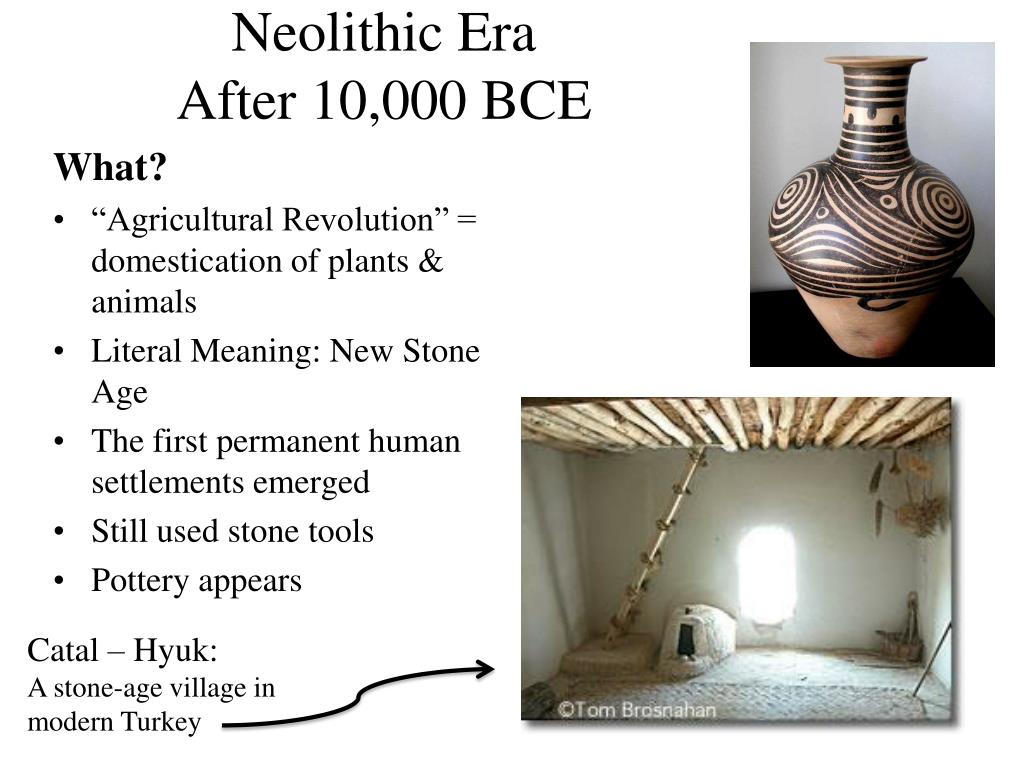 PPT - The Neolithic Revolution and Early Agricultural Societies ...