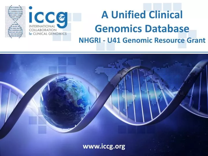 PPT - iccg PowerPoint Presentation, free download - ID:3046355