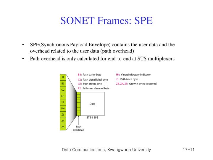 PPT - Chapter 17. SONET/SDH PowerPoint Presentation - ID:3046385