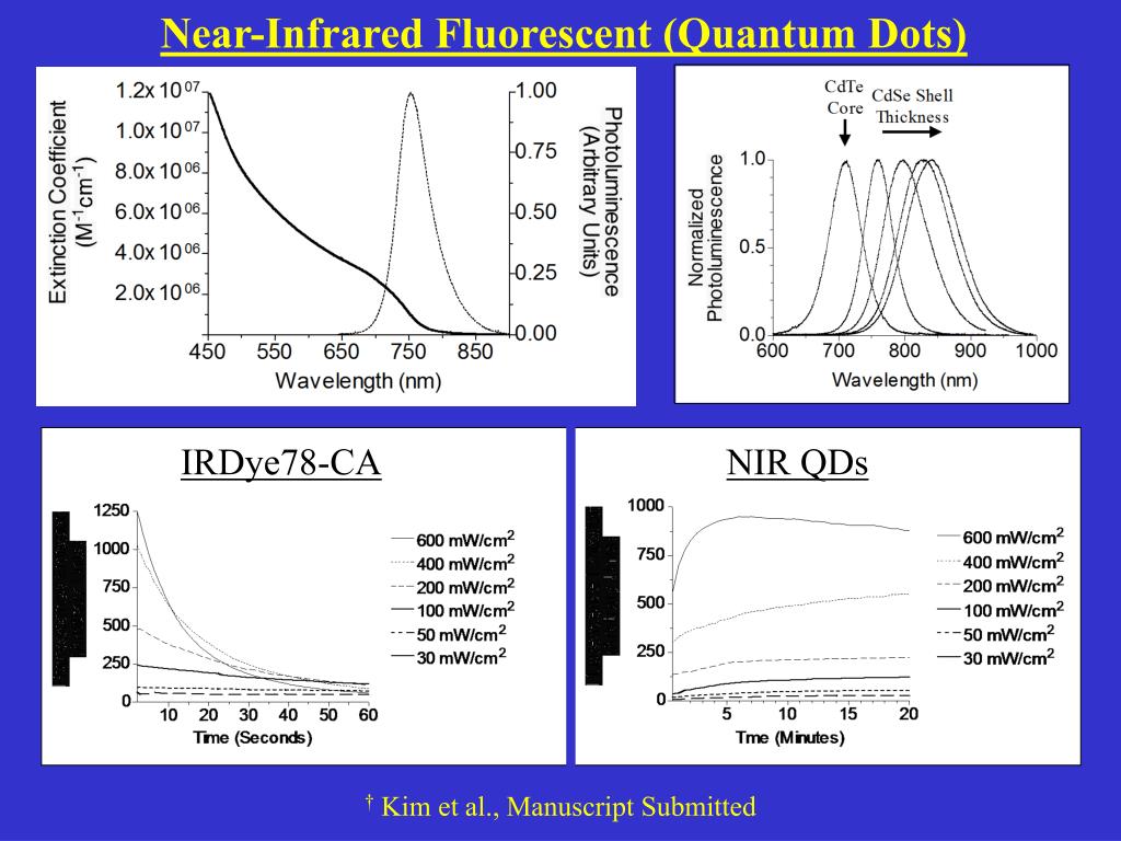 PPT - In Vivo Applications of Near-Infrared Quantum Dots in Cancer ...
