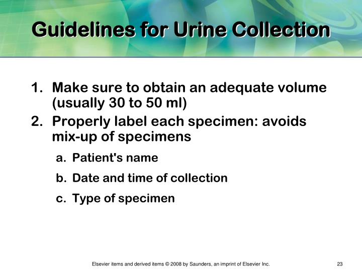PPT - CHAPTER 16 PowerPoint Presentation - ID:3046615