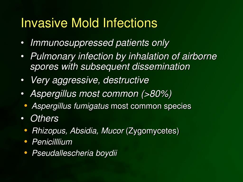 PPT - Medical and Pathogenic Mycology Fungal ABC’s PowerPoint ...