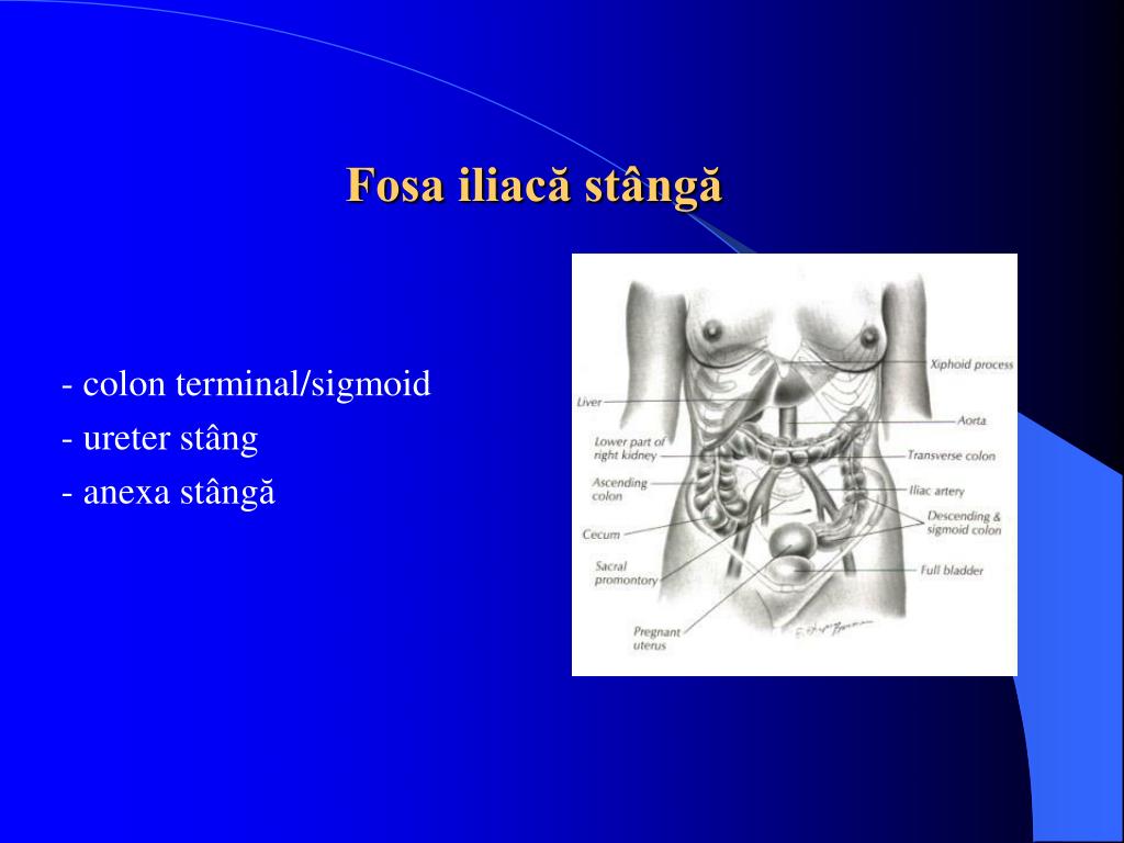 PPT - SEMIOLOGIE MEDICALĂ Anul II Stomatologie PowerPoint Presentation ...