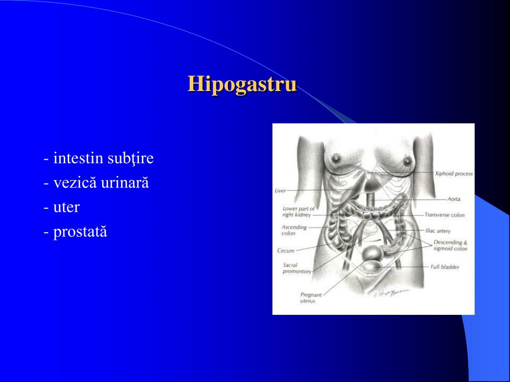 PPT - SEMIOLOGIE MEDICALĂ Anul II Stomatologie PowerPoint Presentation ...