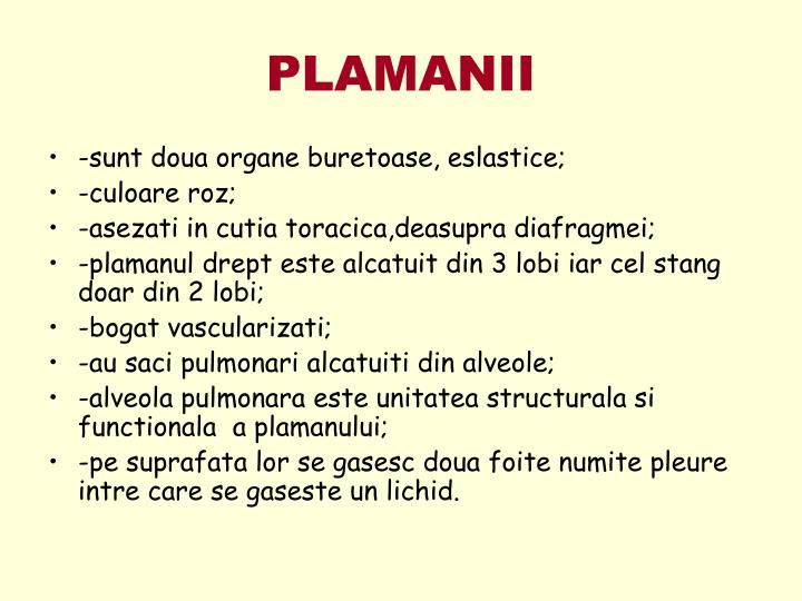 PPT - ANATOMIA SISTEMULUI RESPIRATOR PowerPoint Presentation - ID:3047951