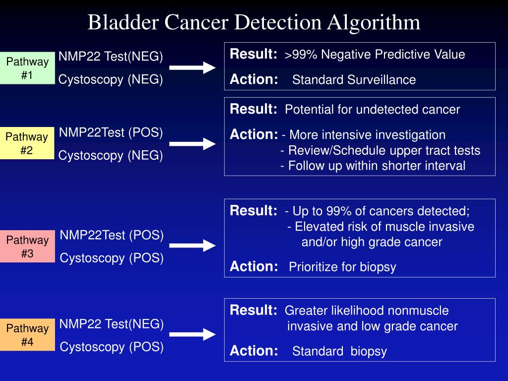 PPT - Barry Stein, M.D. G. Katz, M.D. NMP22 Clinical Investigation ...