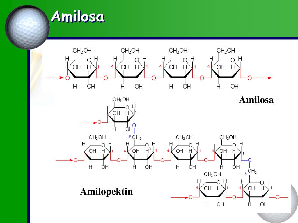 PPT - KONVERSI ENZYMATIC Pengolahan Pati Menjadi Sirop Glukosa Melalui ...