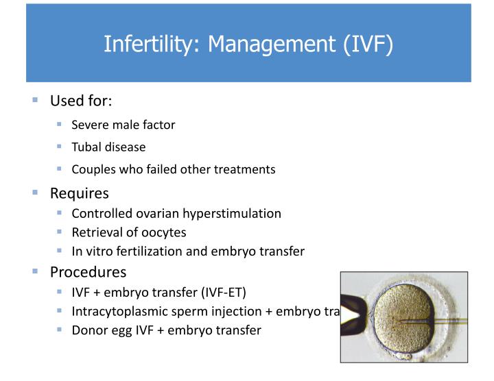 PPT - Infertility PowerPoint Presentation - ID:3049178