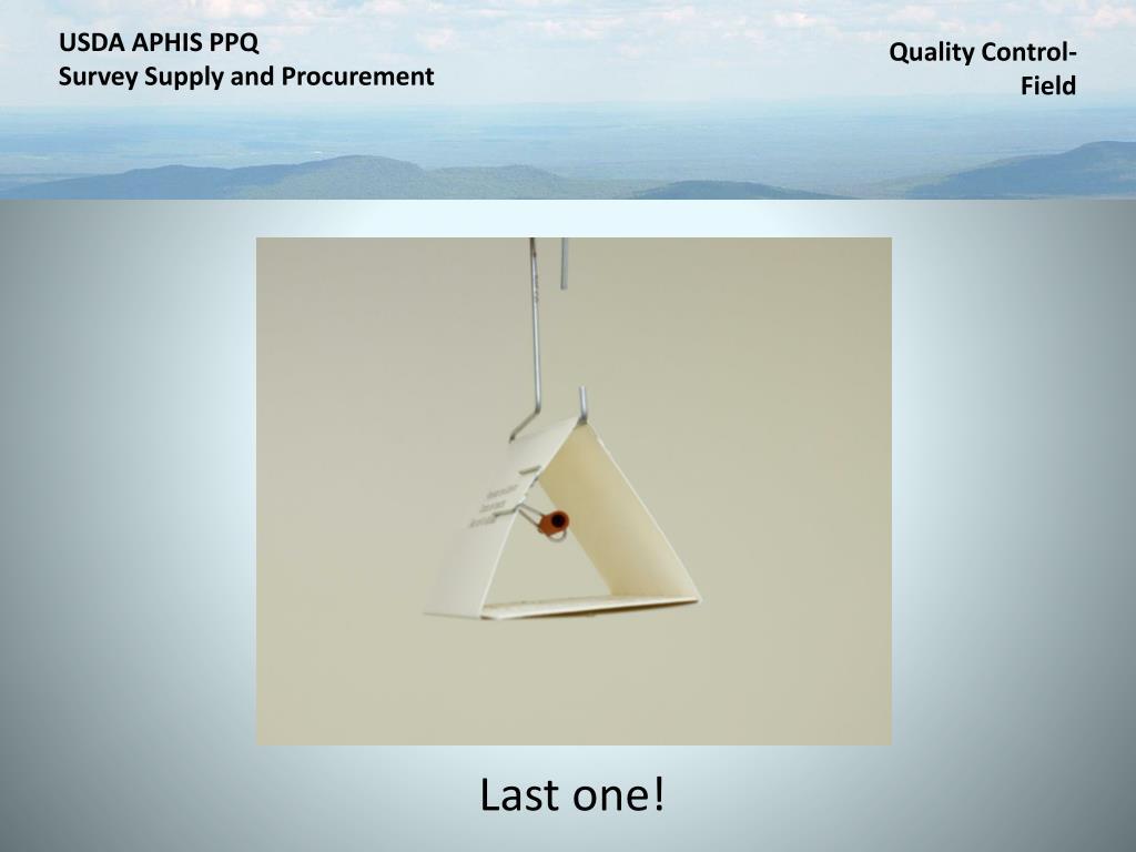 PPT - USDA - APHIS - PPQ Survey Supply and Procurement - SSP PowerPoint ...
