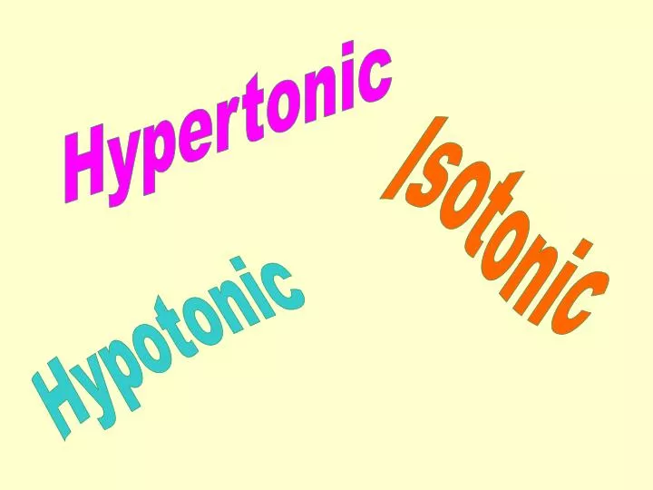 PPT - Hypertonic PowerPoint Presentation, free download - ID:3049813